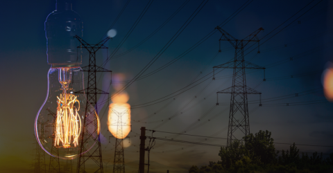 Field Failure/Loss Relay (FFR) Manufacturer & Supplier